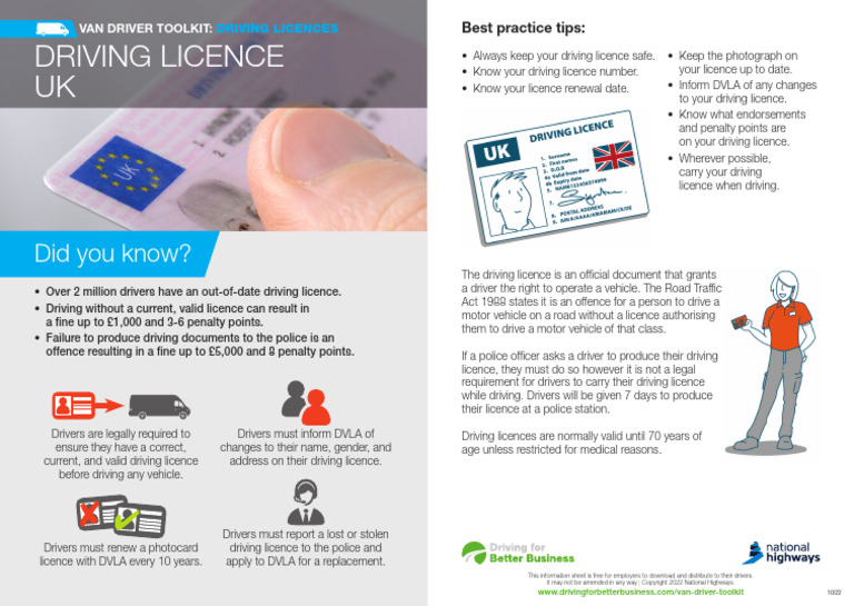Driving Licence UK | PDF