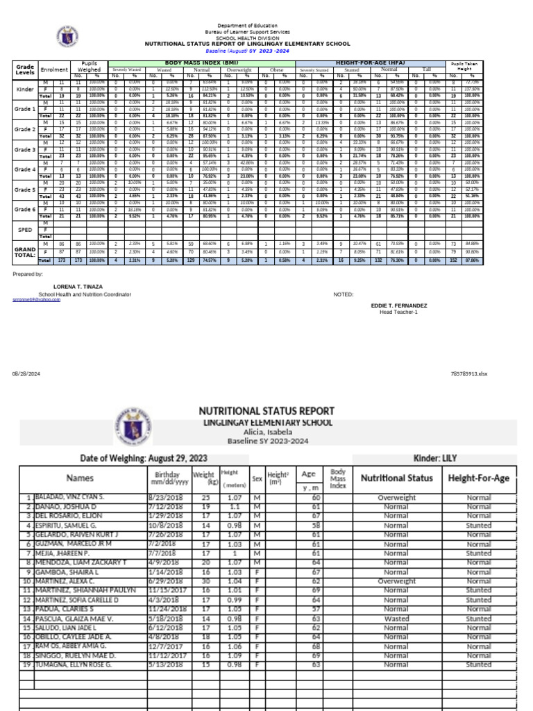 Linglingay Es Baseline Nutritional Status Sy 2023 2024 | PDF