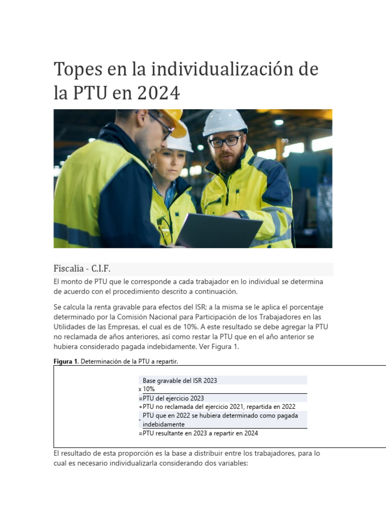 Topes en La Individualización de La PTU en 2024 | PDF