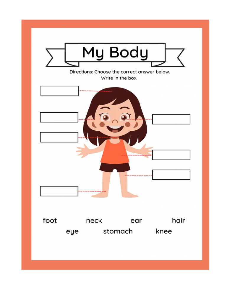 My Body | PDF
