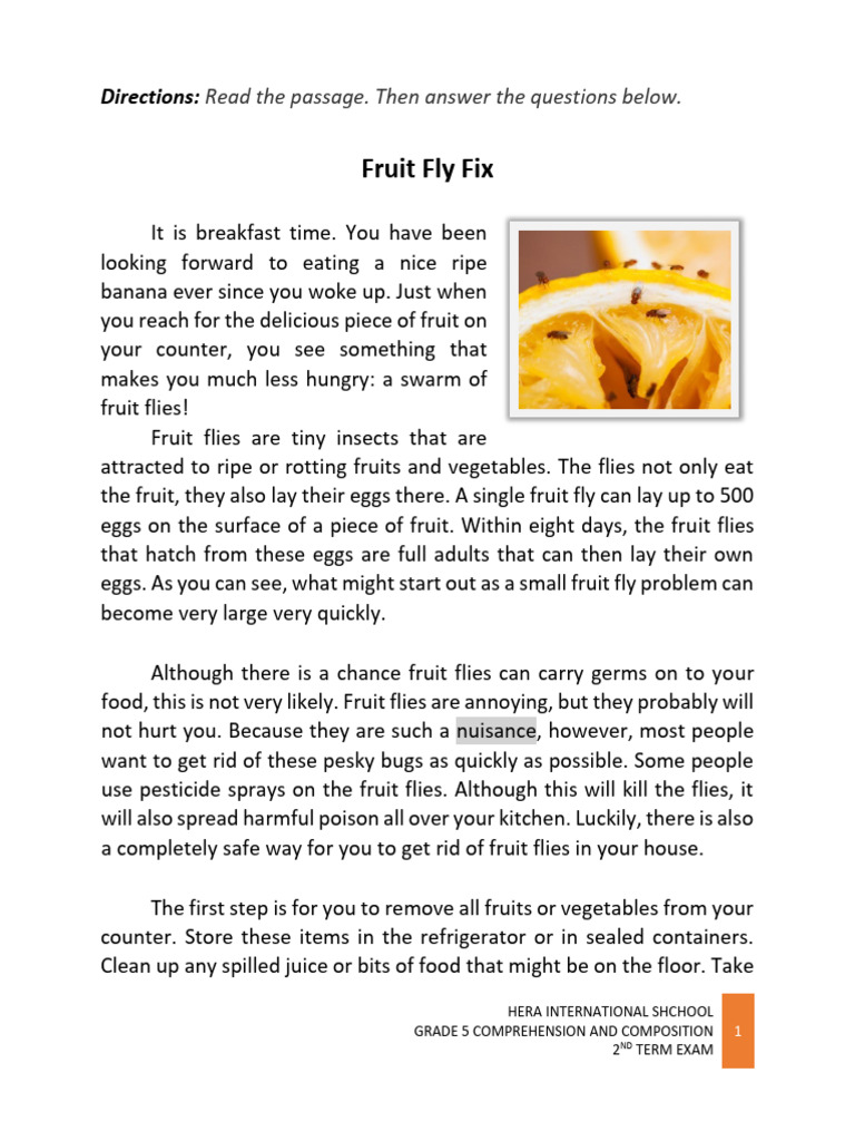 Grade 5 Reading Comprehension 2nd Term | PDF