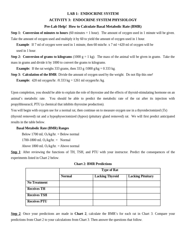 BIO211 Lab 1 BMR and BMI Worksheet | PDF