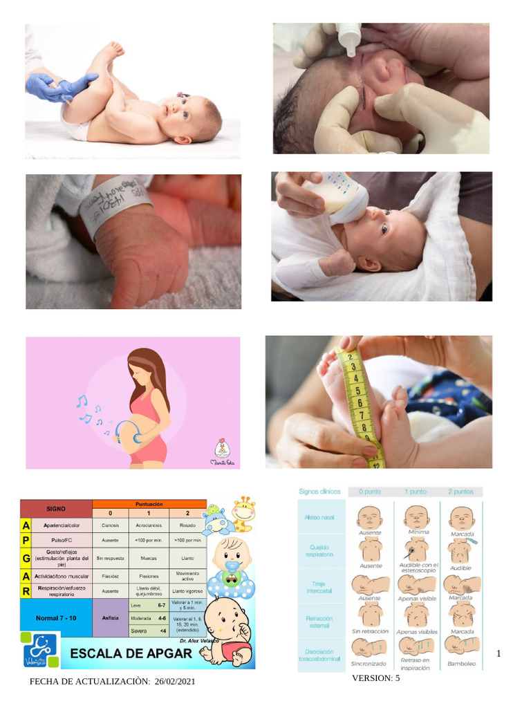 Salud de La Mujer | PDF