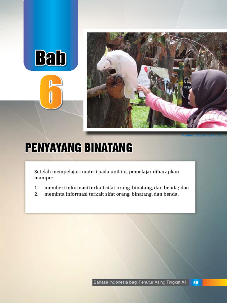 BIPA A1 PPSDK - Bab 6 - Penyayang Binatang | PDF