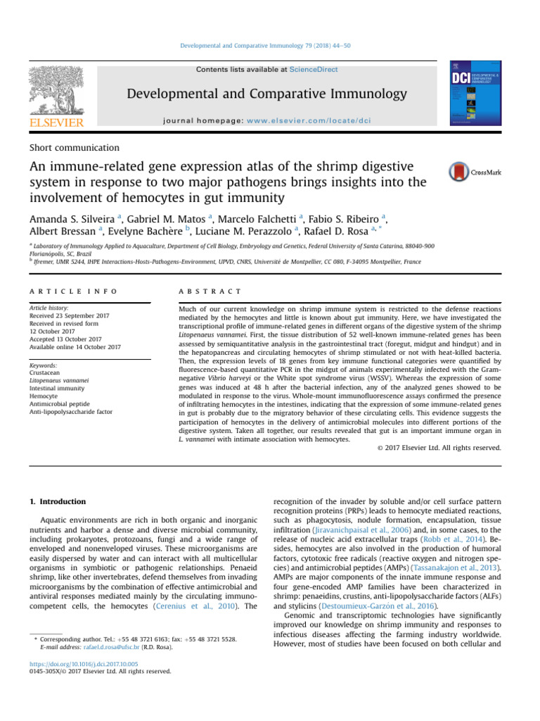 An Immune-Related Gene Expression Atlas | PDF