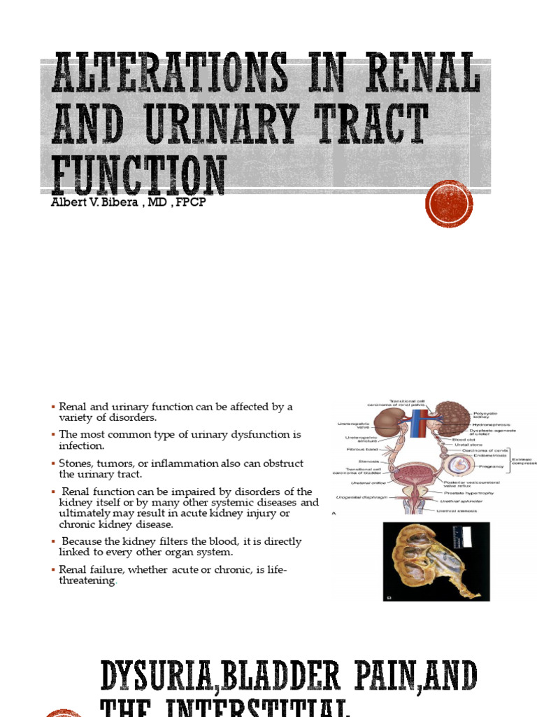 Alterations in Renal & Urinary Tract Function (IM) | PDF