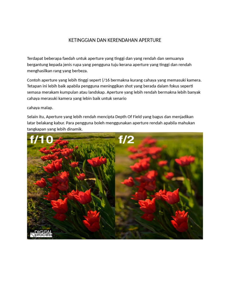 Ketinggian Dan Kerendahan Aperture | PDF