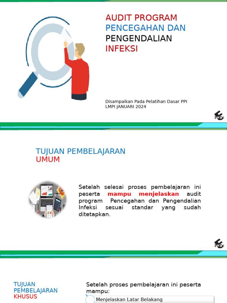 Audit Program Ppi Lmpi | PDF