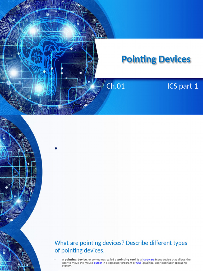 Pointing Devices | PDF