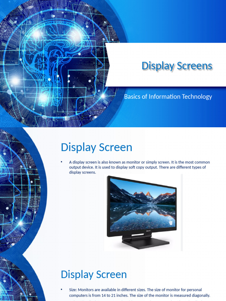 Display Screen | PDF
