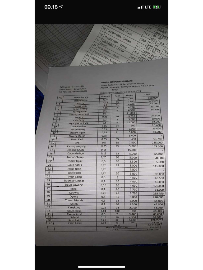 16 Juli 2024 Invoice | PDF
