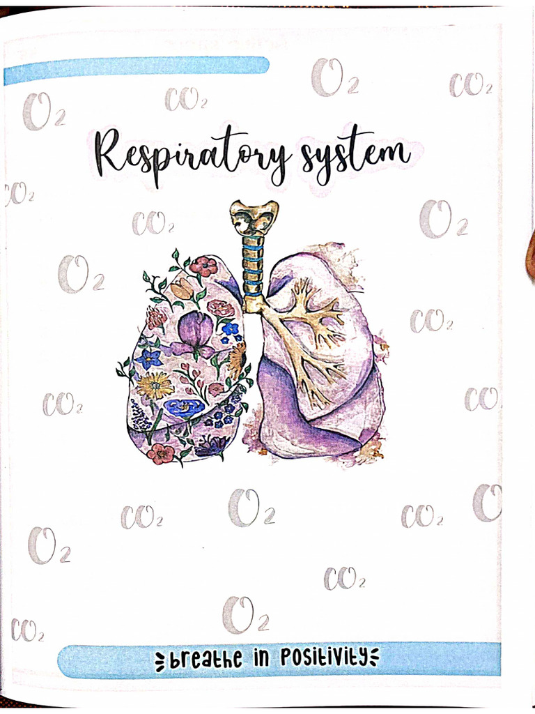Respiratory JTM | PDF