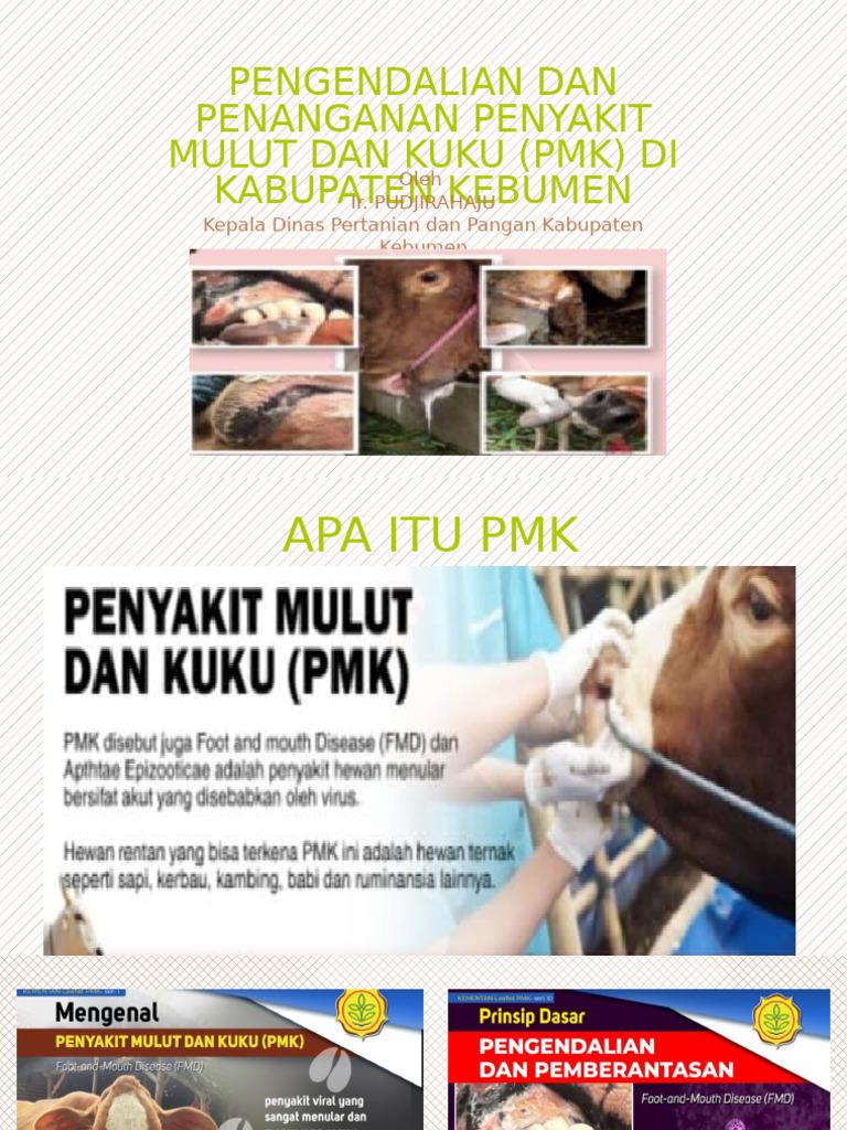 Paparan Dewan TTG PMK | PDF