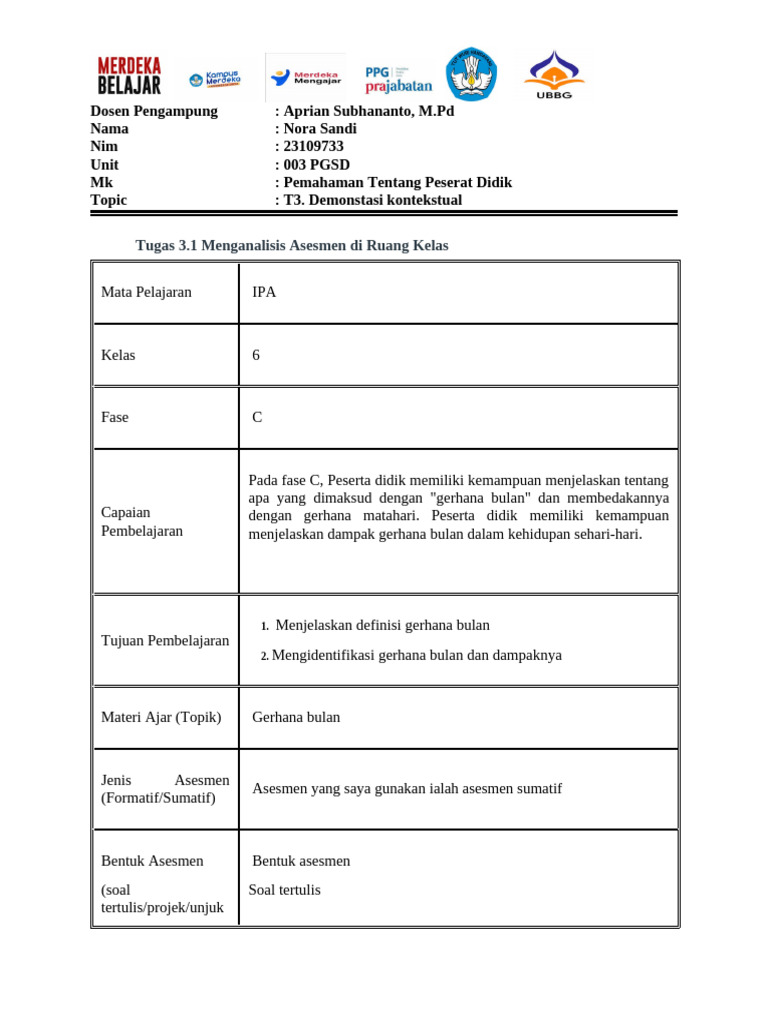 Word To Edit PPDP | PDF