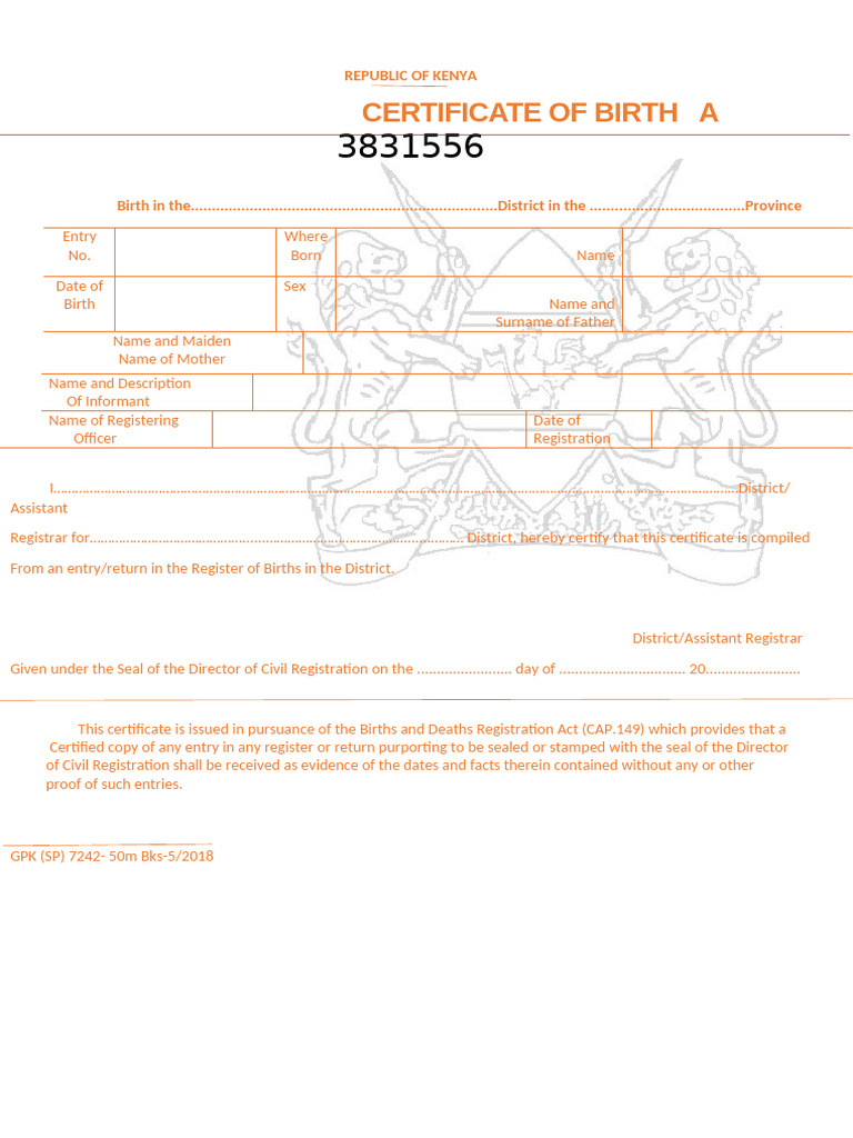 Birth Cert Template | PDF
