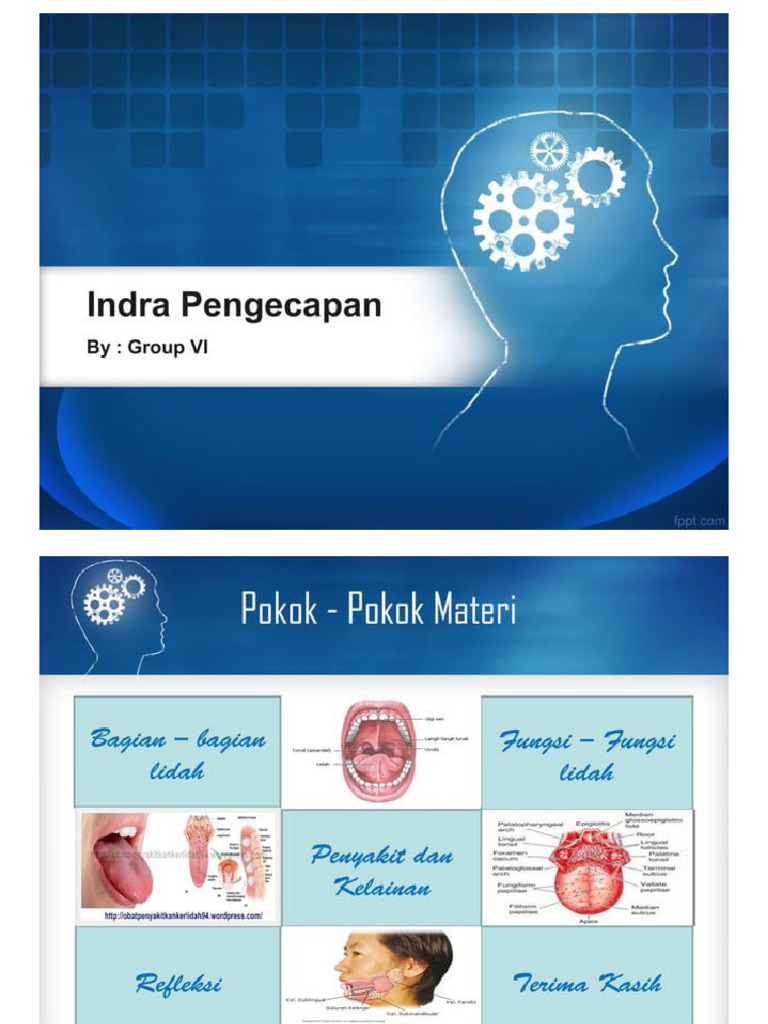 Indera Pengecapan Lidah 1 638 | PDF