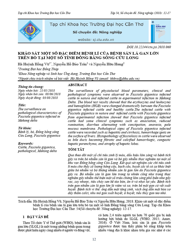 03-V3-Ha Huynh Hong Vu (12-17) 060 | PDF
