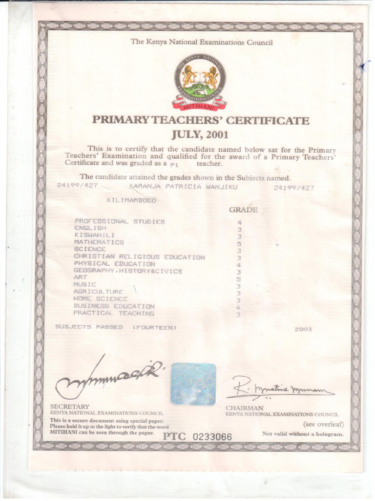 Primary Teachers Cert | PDF
