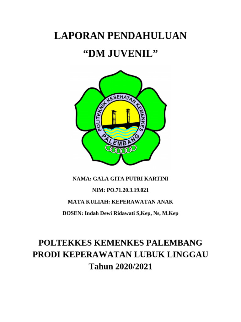 LP DM | PDF