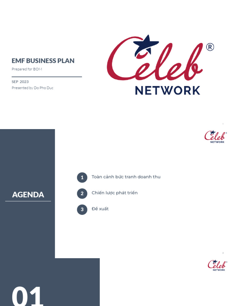 EMF Business Plan SEP | PDF