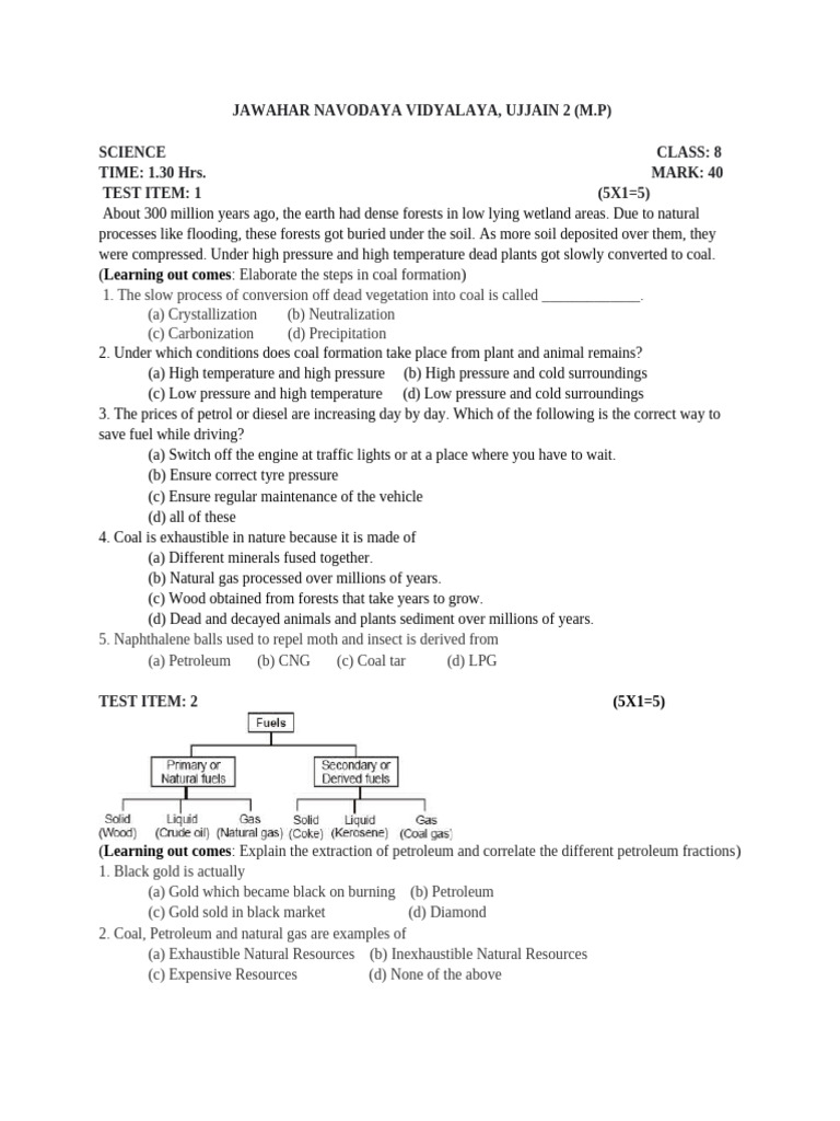PWT 2 Class 8 Edited Final | PDF | Mold | Microorganism