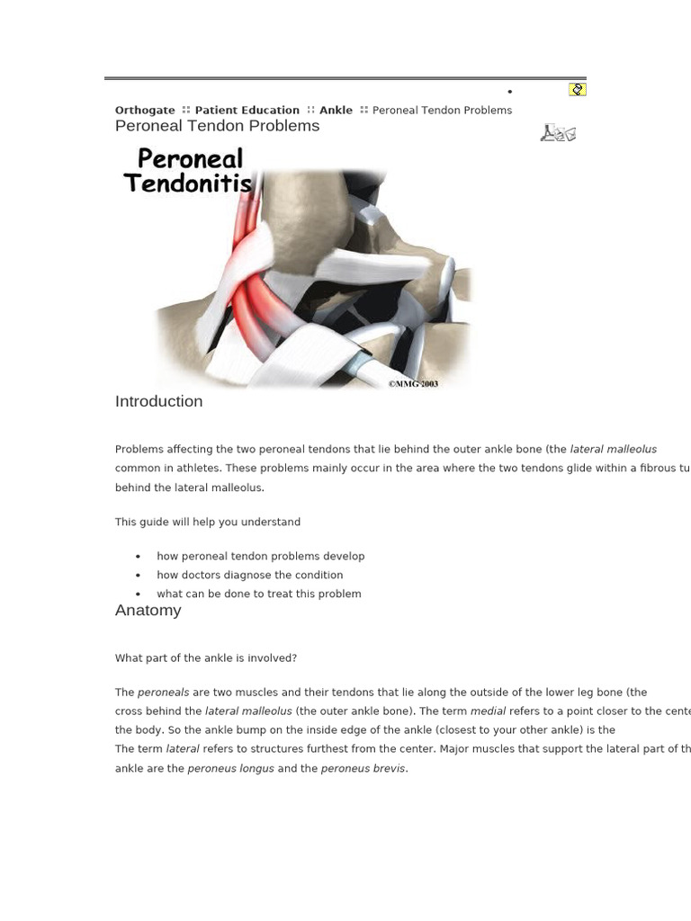 Peroneal Tendons Proplems | PDF
