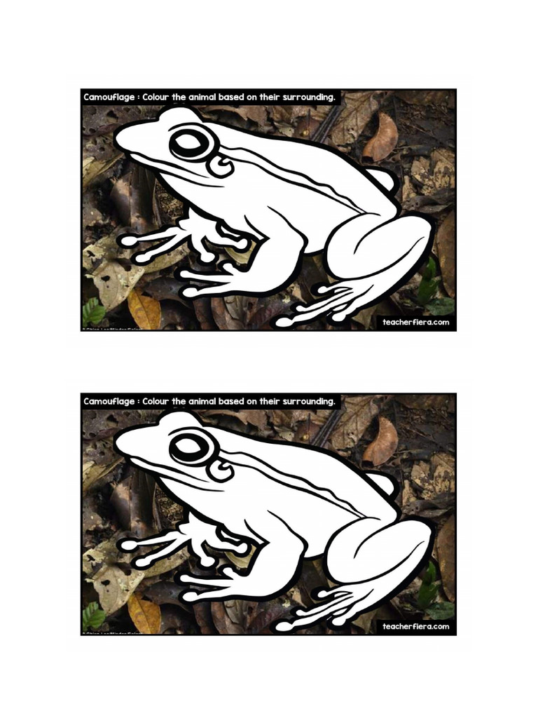 camouflage animals | PDF