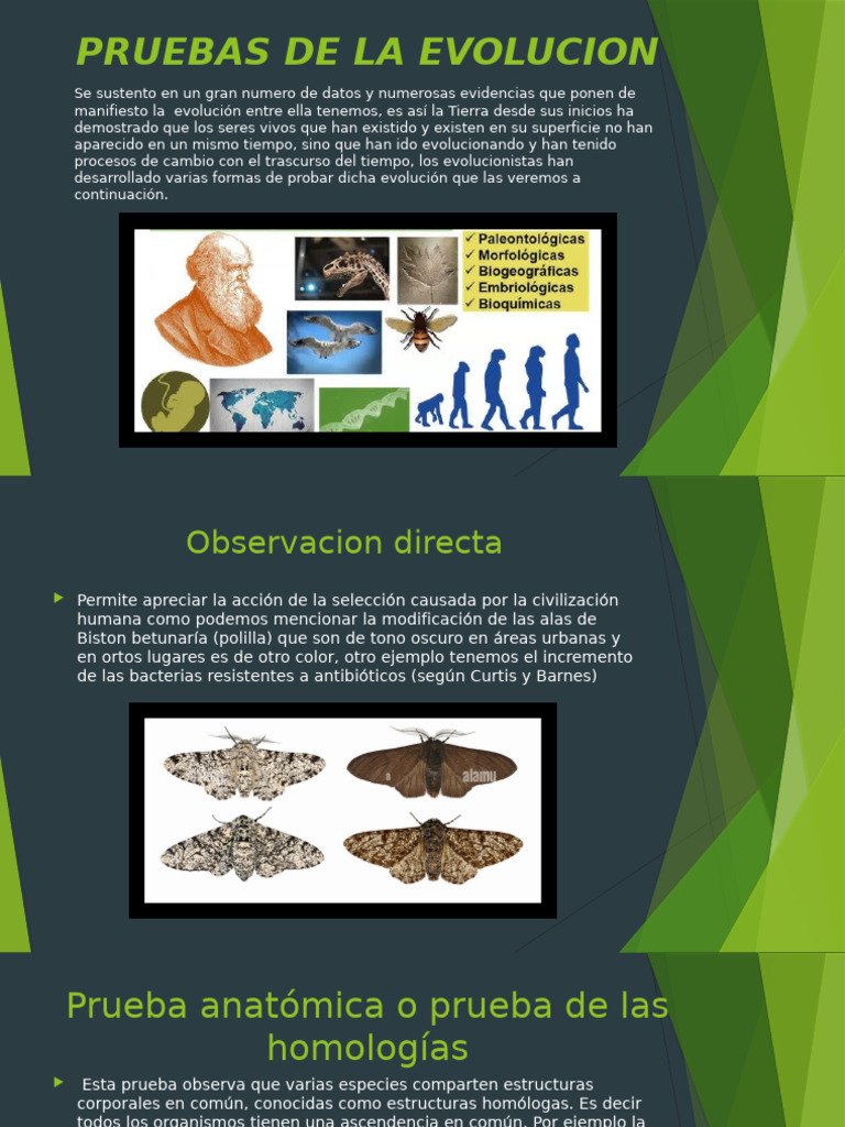Pruebas de La Evolucion | PDF