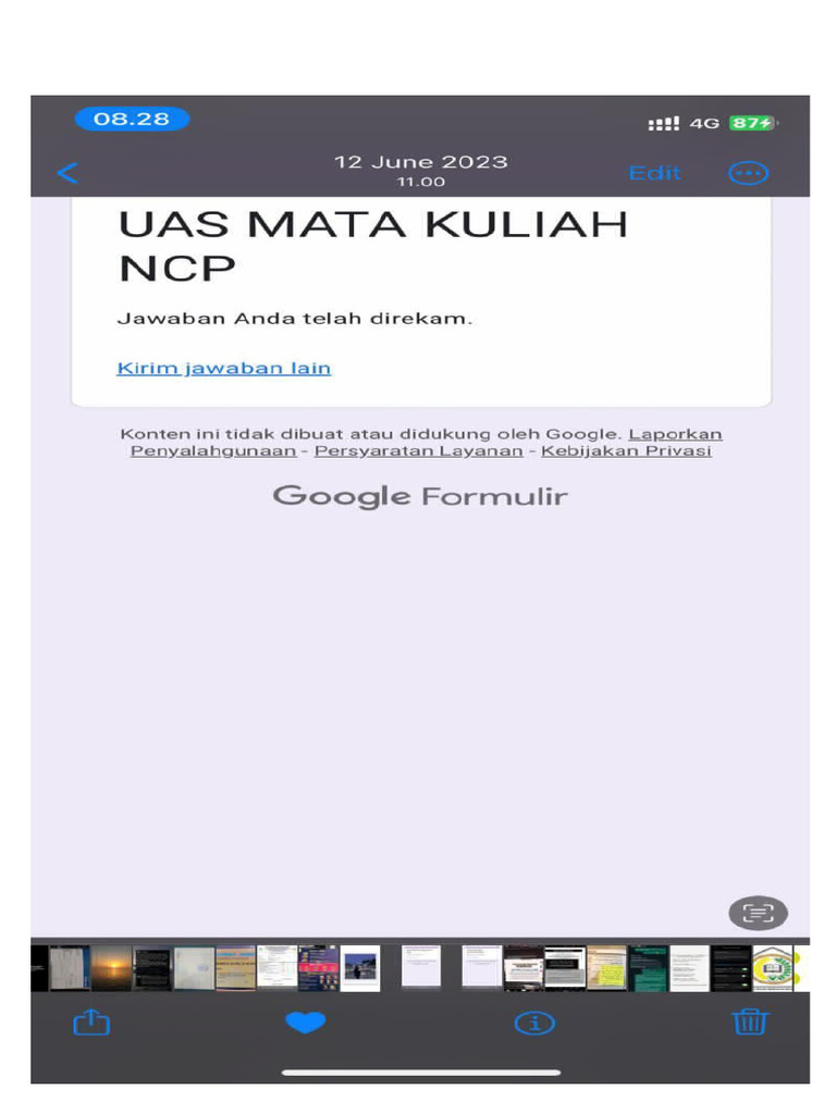 NCP Dina | PDF