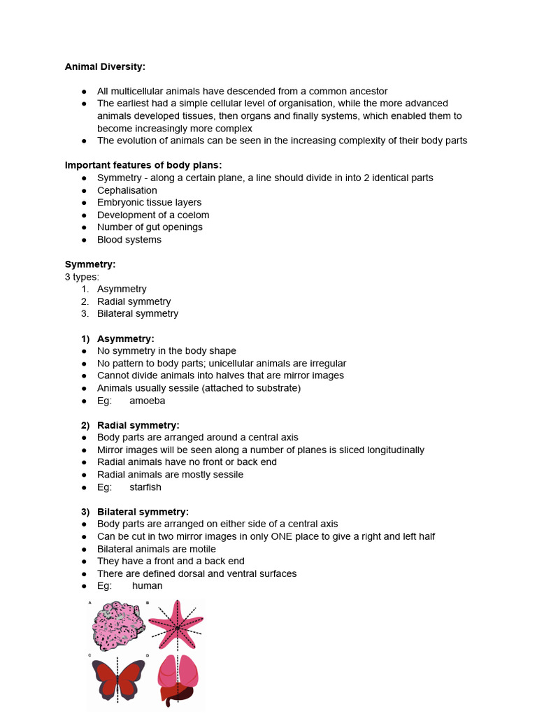 Life Sciences - Notes Animal Diversity | PDF | Zoology | Social Science