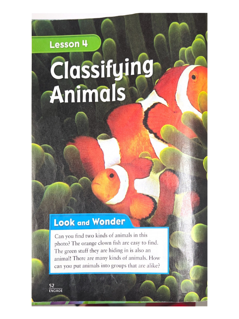 3rd Chapter 1 Lesson 4 Classify Animals Textbook | PDF