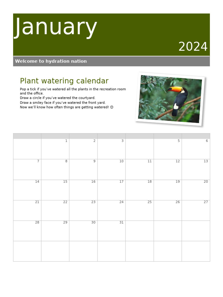 Plant Watering Calendar | PDF