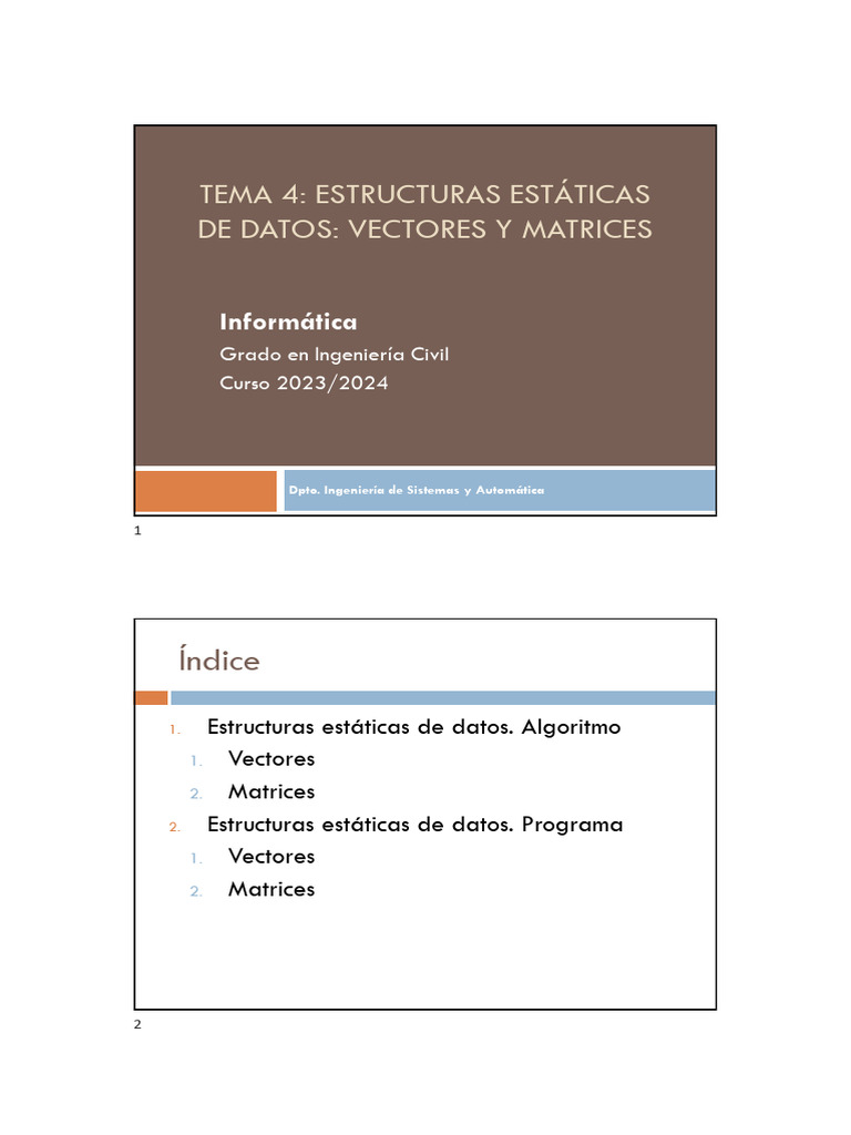 Vectores y Matrices en C | PDF