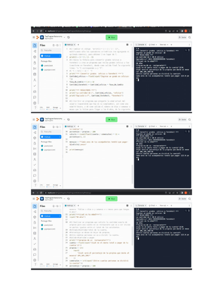 Conceptos Básicos de Python | PDF