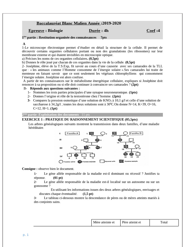 BAC BLANC Biologie TSExp | PDF