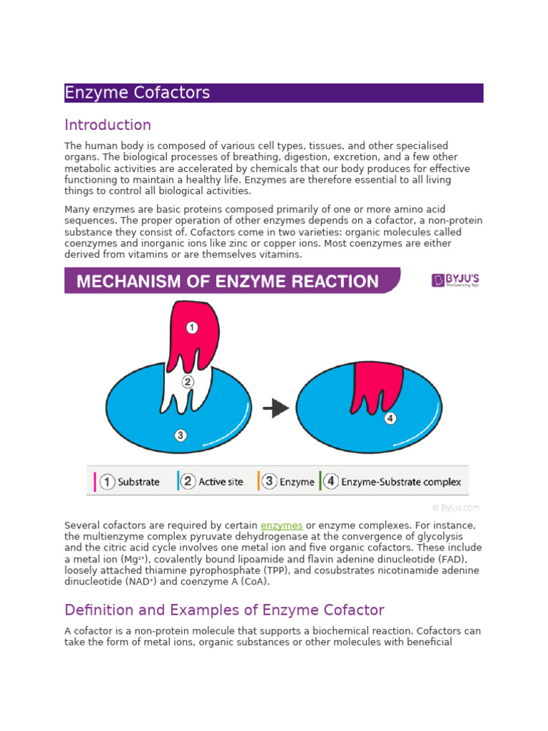 Enzyme Cofactors | PDF