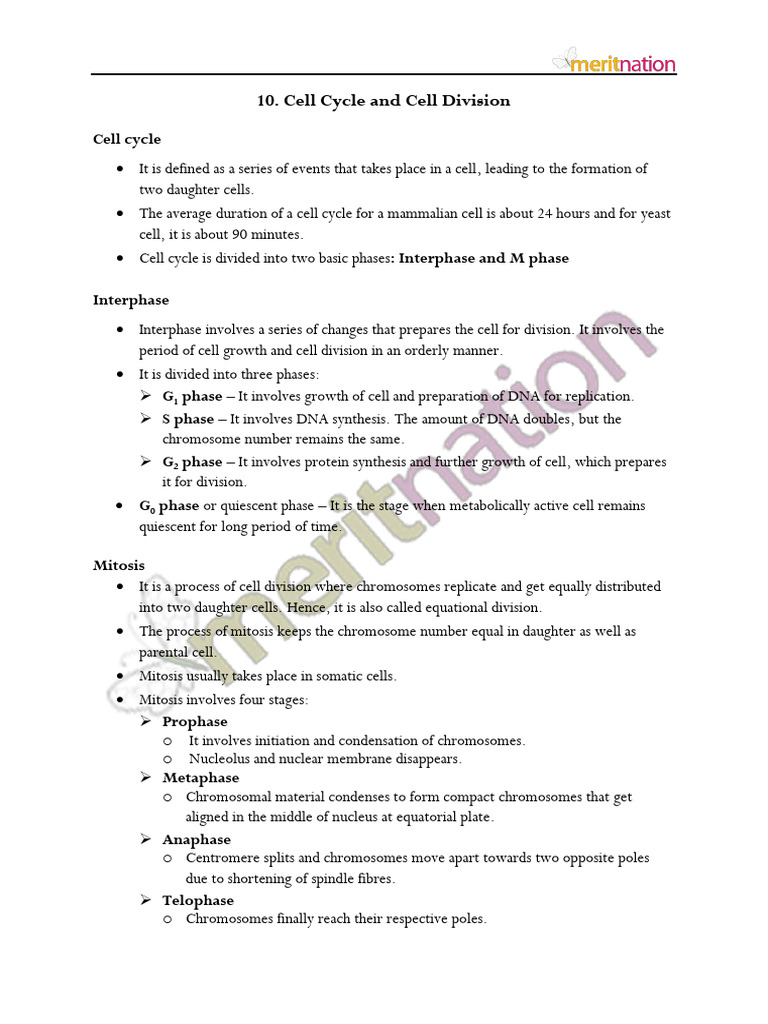 Cell Cycle Cell Division | PDF