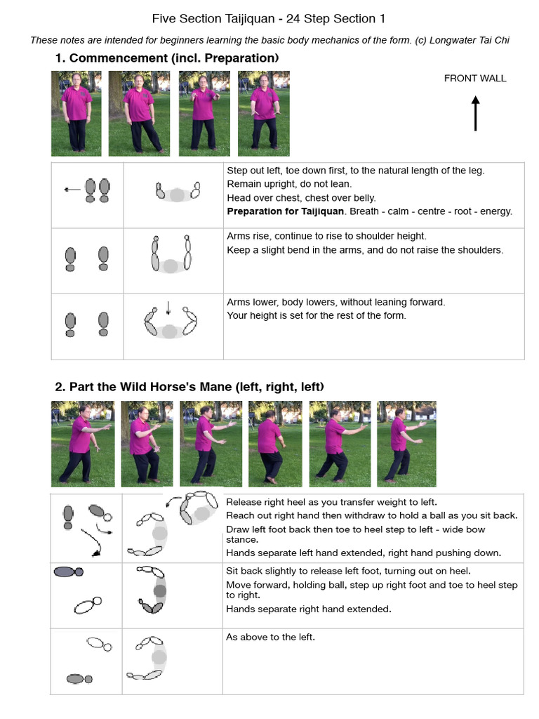 Tai Chi | PDF