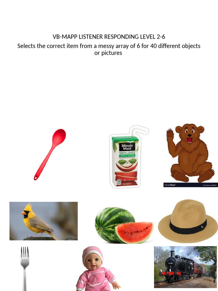 VB Mapp Listener 2-6 | PDF