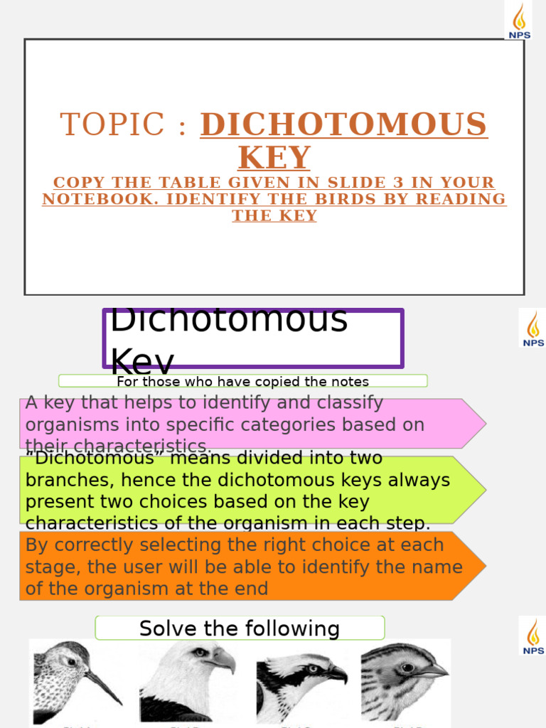 Dichotomous Key | PDF