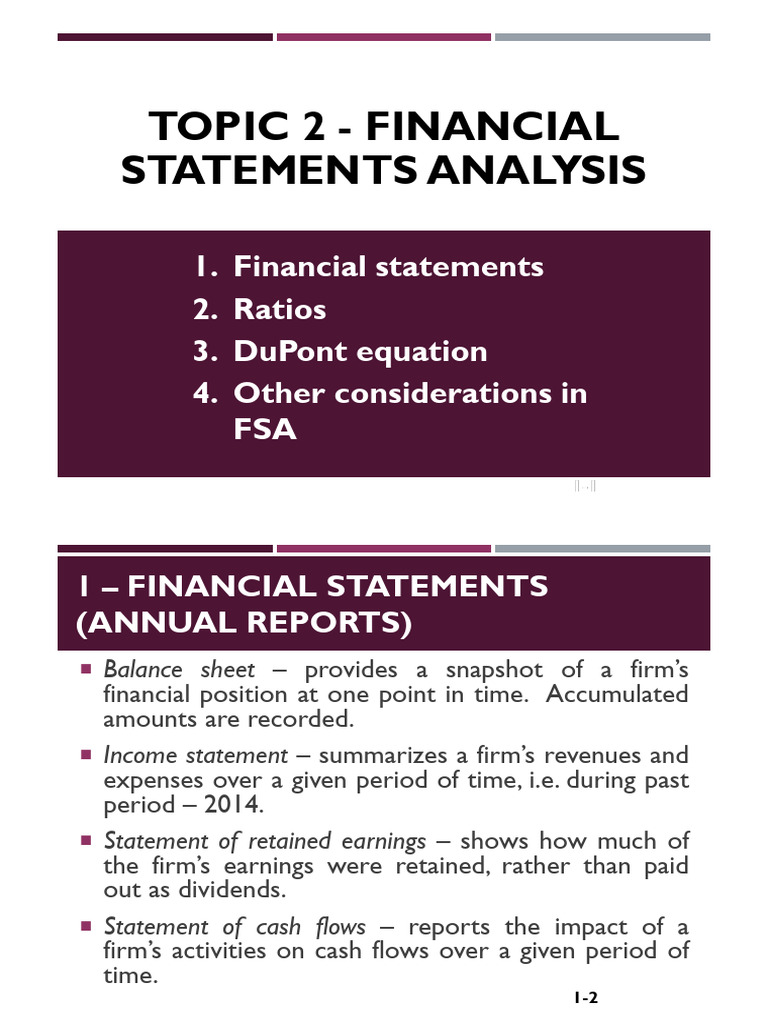 Topic 2 - Financial Statements Analysis | PDF