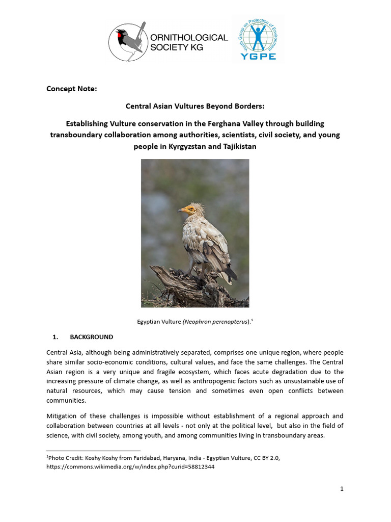 Concept Note - Central Asian Vultures Beyond Borders - 10 April | PDF