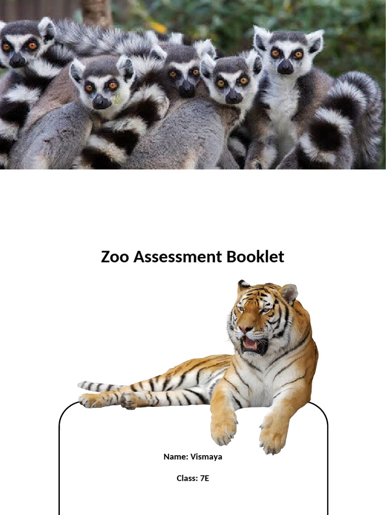 Zoo Assessment Booklet 2022 | PDF