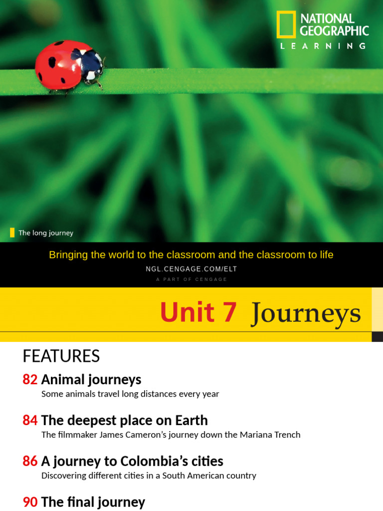 Tacb4 - Unit 7 - Lesson | PDF