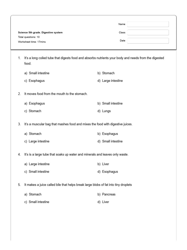 5 Science Dave - Science 5th Grade Digestive System | PDF