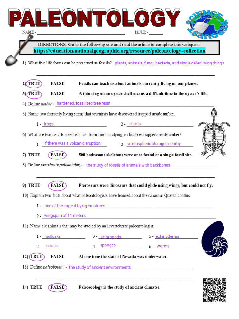 Grace Garretson - 3:7-PaleoAssignment | PDF
