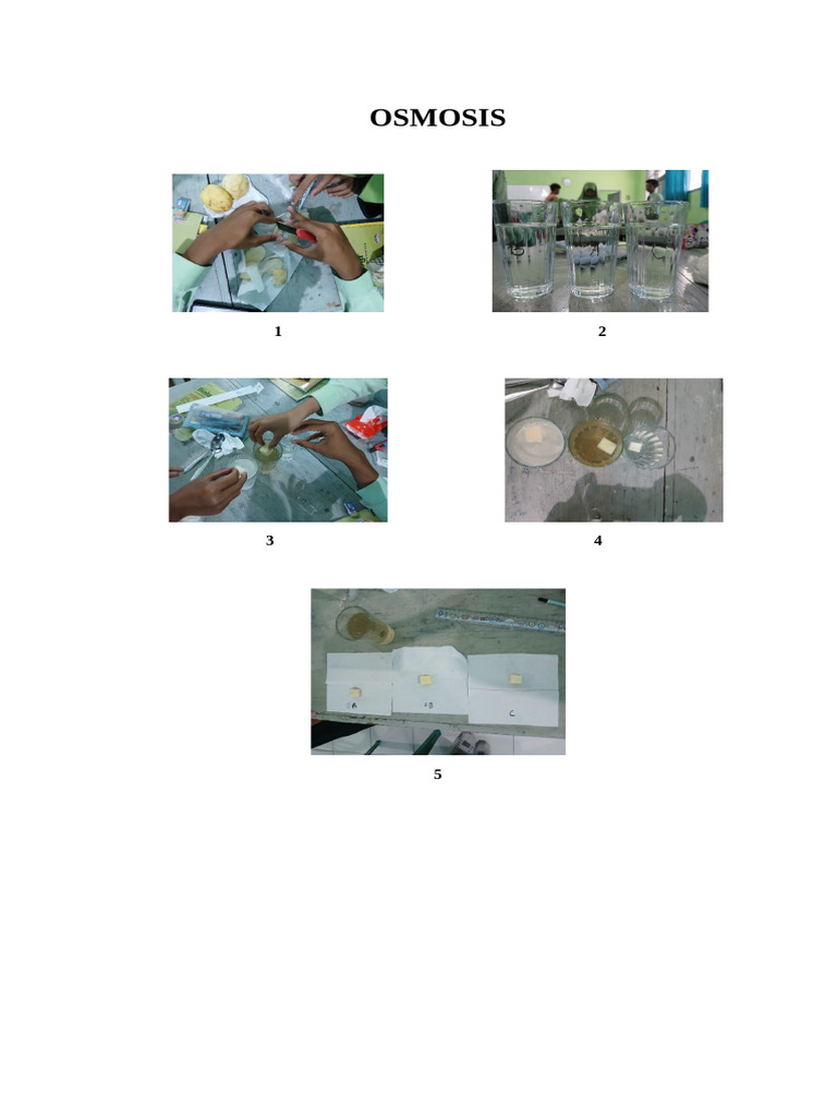 Osmosis | PDF