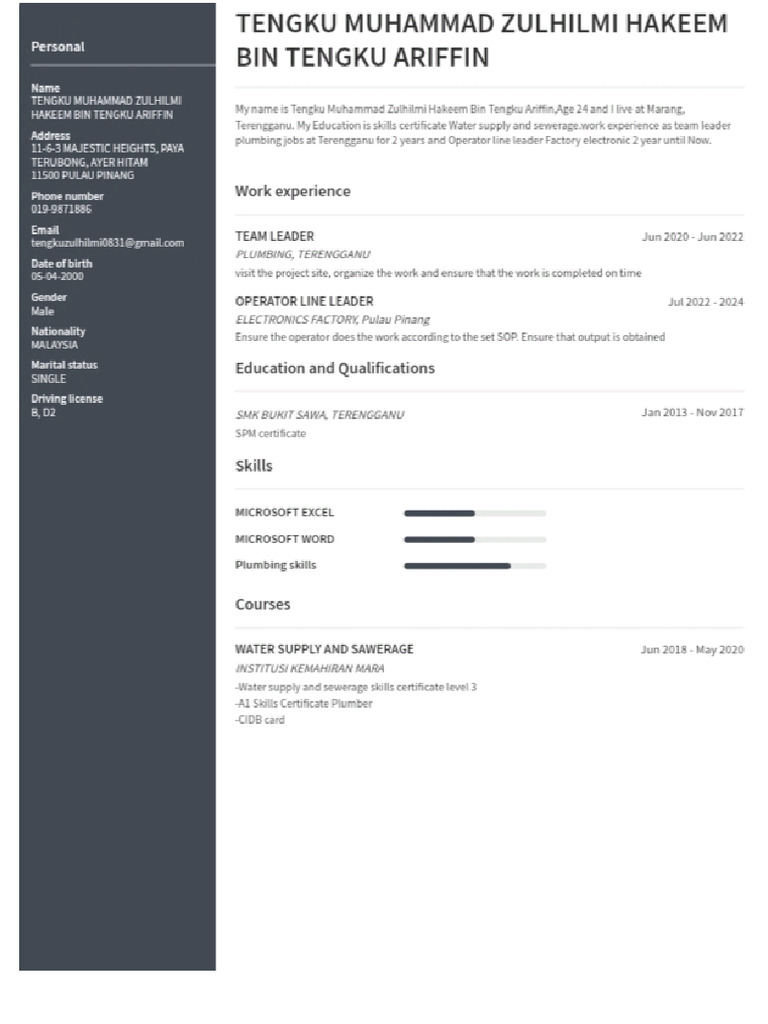 Resume 2024 | PDF