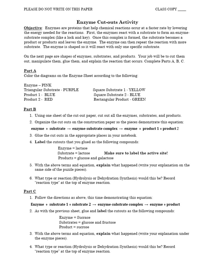 Enzyme Cut Out Lab | PDF