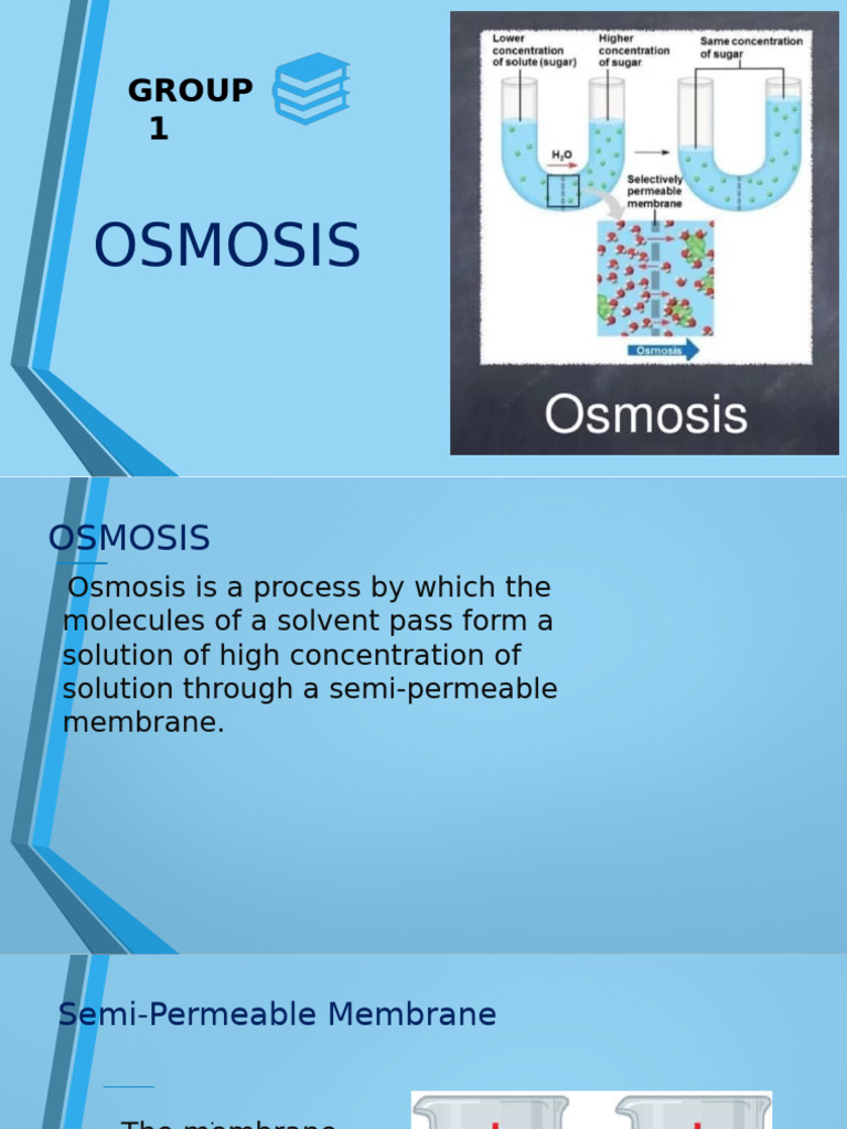 Biolgy PPT Osmosis | PDF